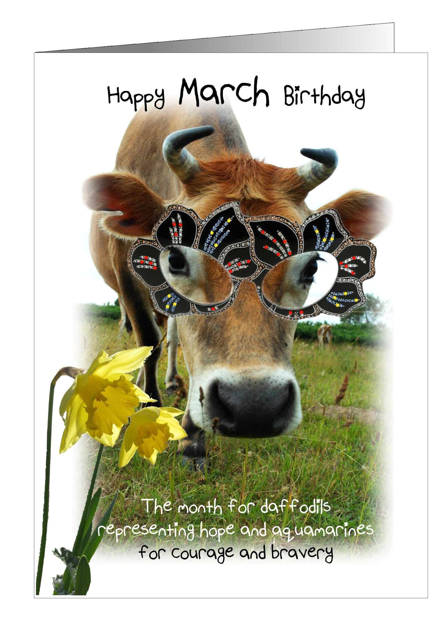 Birthday Month March Card Cow – Pet Cards